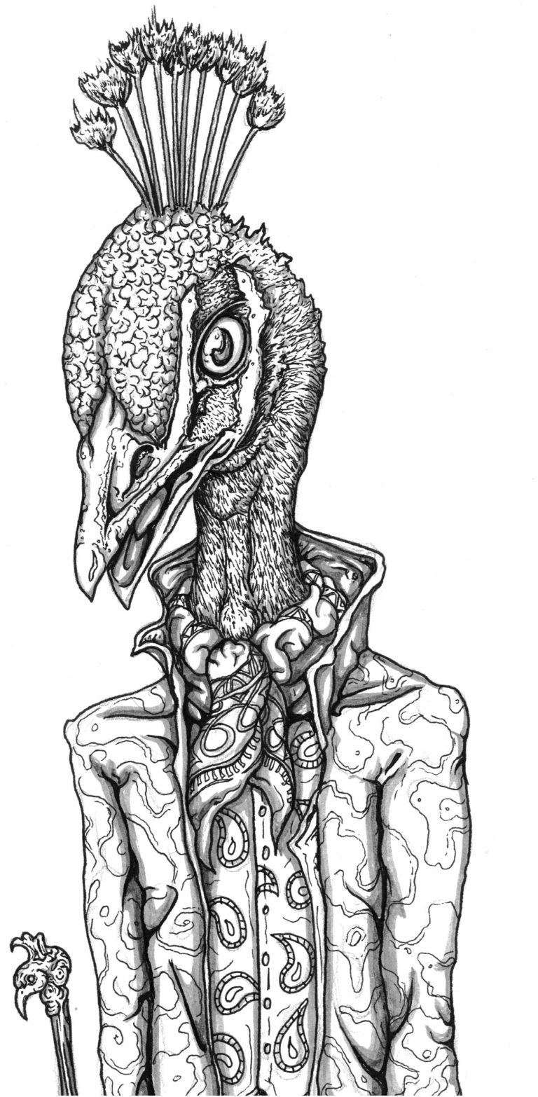 Illustrations – Simon Ripley Art